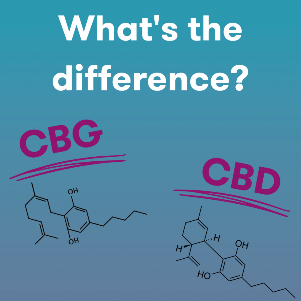What’s the Difference Between CBD and CBG | Terrasana Cannabis
