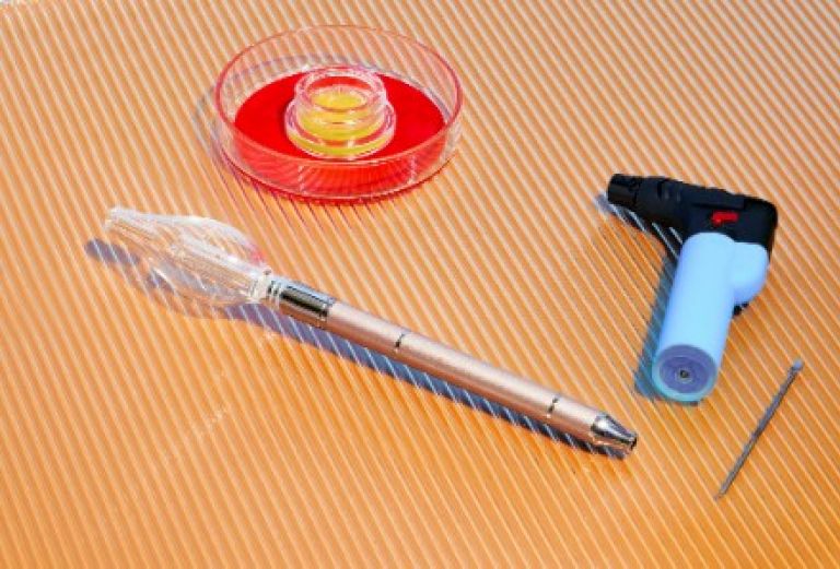 Terrasana Blog - Medical Marijuana Product Information & Cannabis Guides